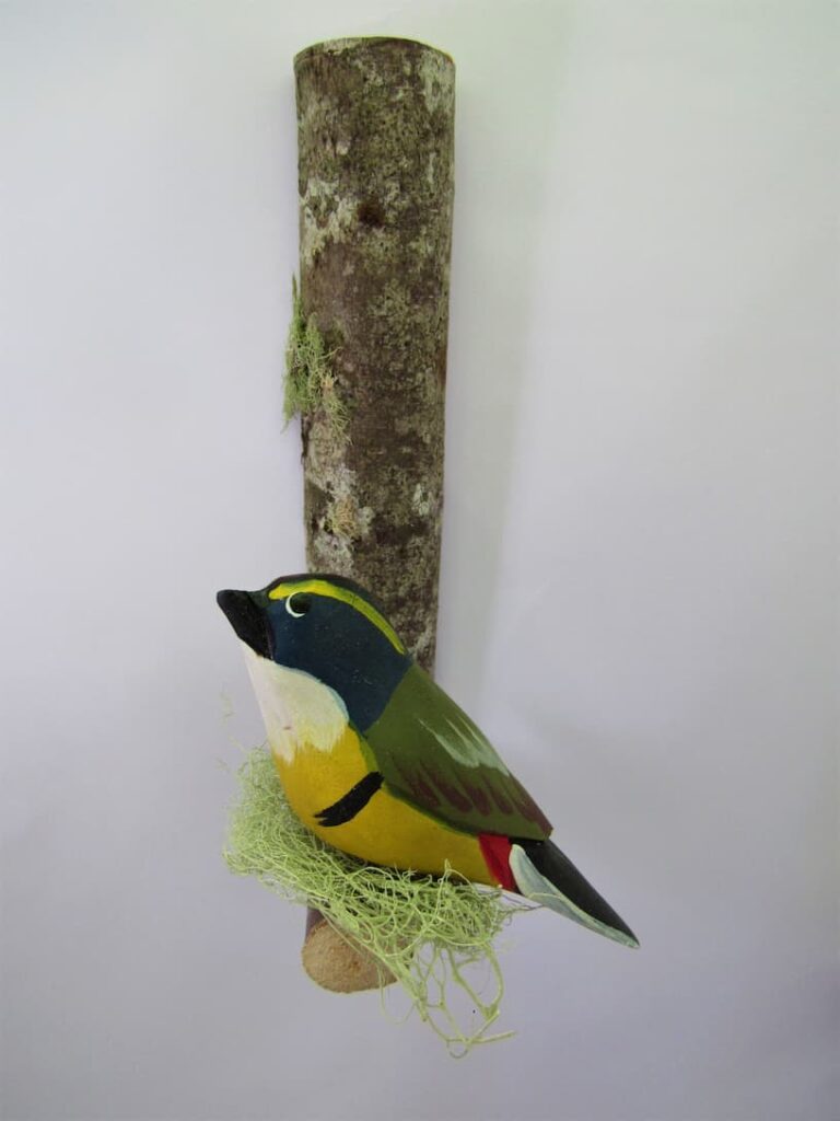 Aves de Chile: Siete Colores (madera nativa) – Keu Ken Artesanias